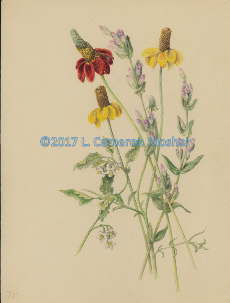 Gallery – Cora Mosher Floral Art