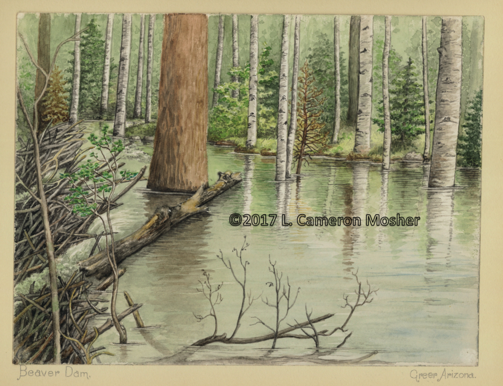 Greer – Cora Mosher Floral Art