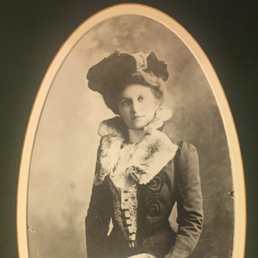 Cora Mosher Floral Art – Drawings of Arizona cacti and wildflowers