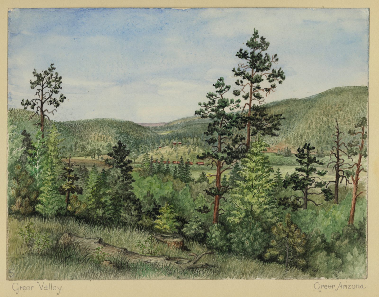 Greer – Cora Mosher Floral Art