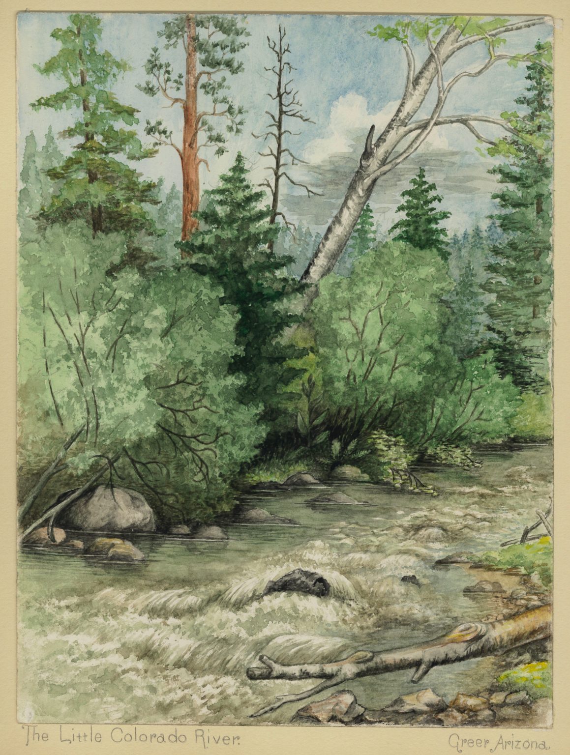 Greer – Cora Mosher Floral Art